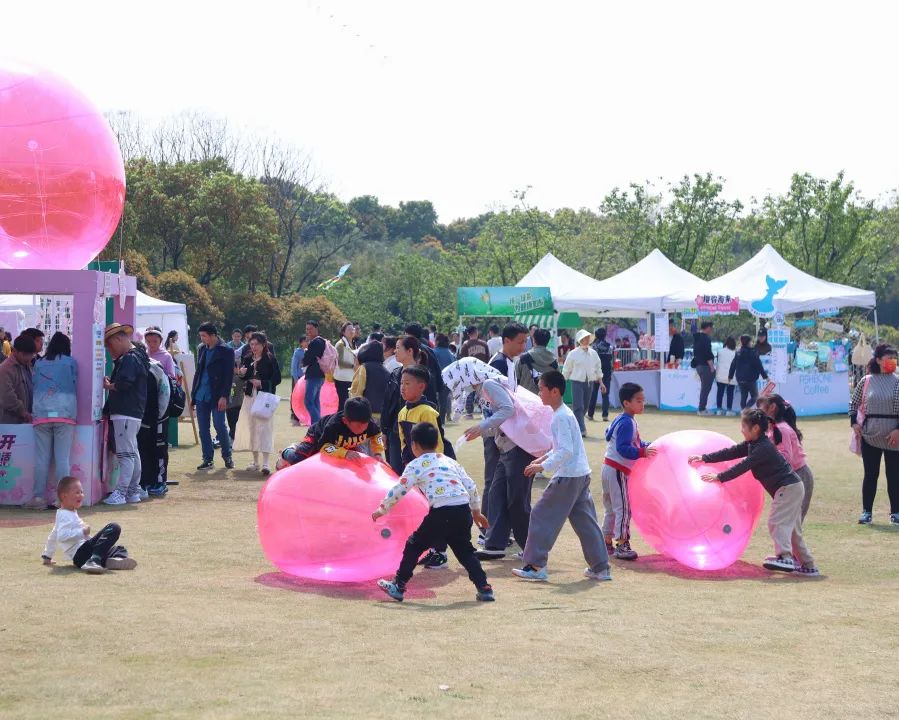 踏青赏花 与春光同行 顾村公园清明小长假迎来游客近20万人次 热点推荐 上海市宝山区人民政府